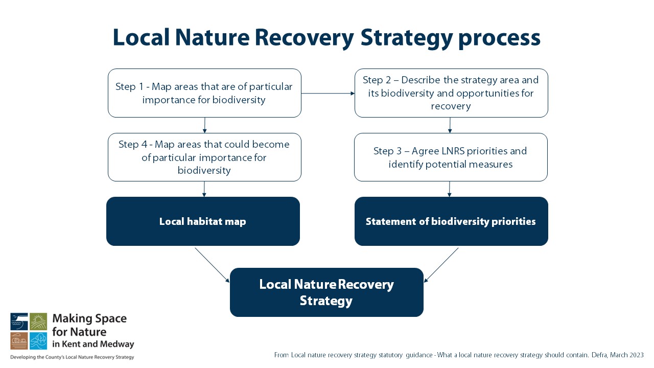 Strategy development | Making Space For Nature Kent