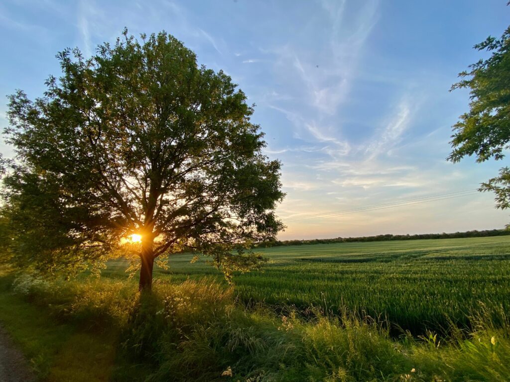 The importance of nature-friendly farming for nature recovery - Alexa ...